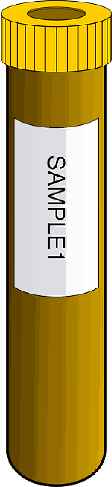 Download Illustration - Biology - Full Size PNG Image - PNGkit