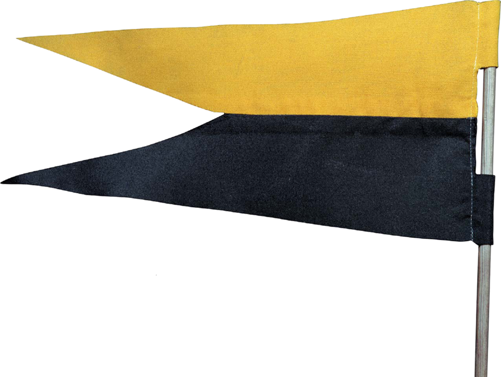 Download Quidditch-hufflepuff Flag Harry Potter Quidditch, Harry ...