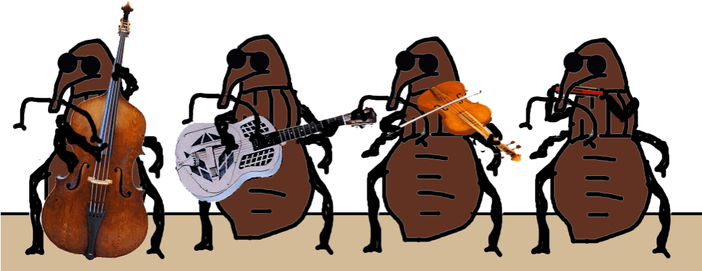 Download [if Gte Vml 1]>