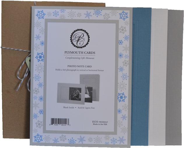 Download Holdiay Variety Photo Insert Cards - Case - Full Size PNG ...