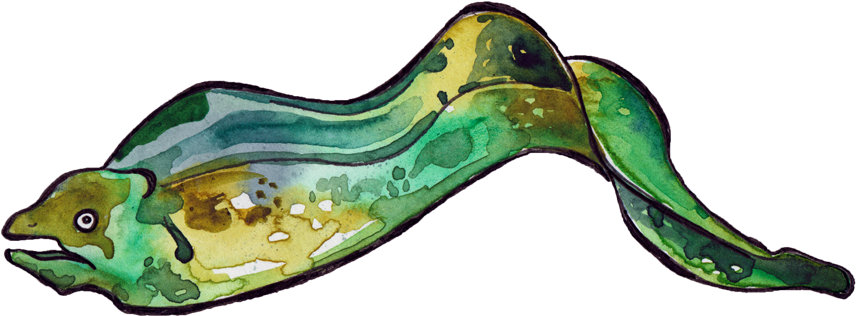 Download An Eel Sprite - Illustration - Full Size PNG Image - PNGkit