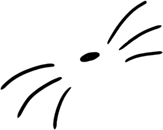 Download Dan And Phil Whiskers Transparent - Full Size PNG Image - PNGkit