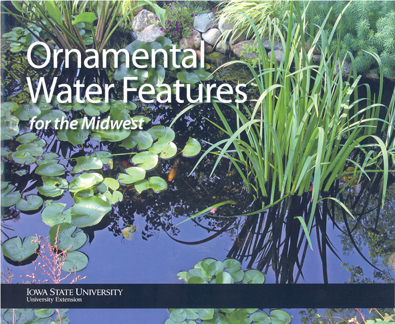 Download Fish Pond - Full Size PNG Image - PNGkit