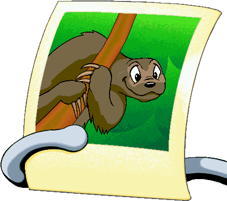 Download Sloth Picture - Hippopotamus - Full Size PNG Image - PNGkit