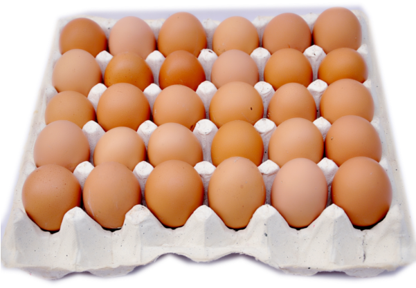 Download Eggs Carton Png - Crate Of Eggs Png - Full Size PNG Image - PNGkit