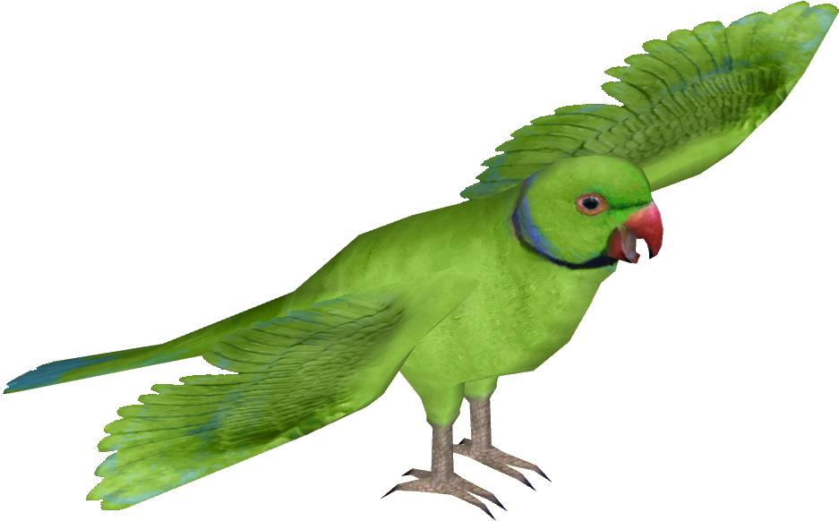 Download Echo Parakeet - Yellow Eared Parrot - Full Size PNG Image - PNGkit