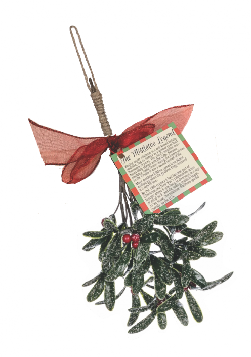 Download Mistletoe - Paper - Full Size PNG Image - PNGkit