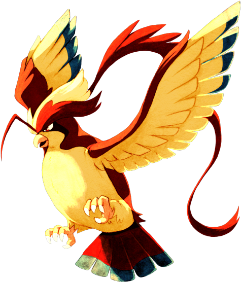 Download “drew Mega Pidgeot In My Sketchbook Earlier Then Colored ...