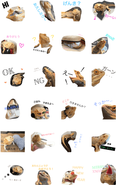 Download Bearded Dragon Raisin - Slug - Full Size PNG Image - PNGkit