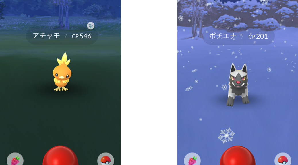 Download Torchic Evolution Pokemon Go - Full Size PNG Image - PNGkit