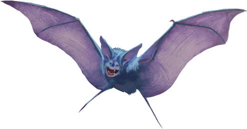 Download Zubat Realistico - Pokemon Realistic Zubat - Full Size PNG ...
