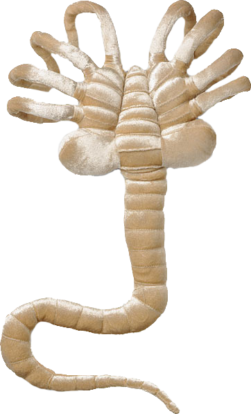 Download Alien Facehugger Prop Licensed - Alien Facehugger Plush - Full ...
