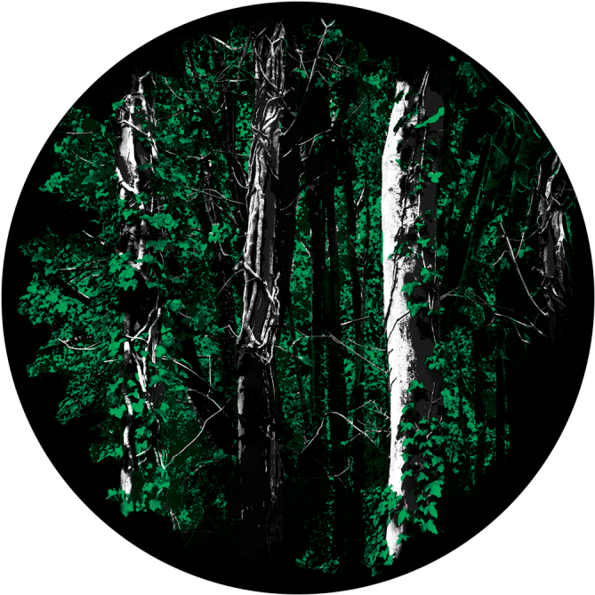 Download Backwoods - Full Size PNG Image - PNGkit