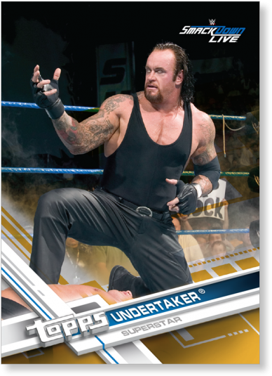 Download Undertaker - 100 Random Wwe Trading Card Lot Featuring A Huge ...