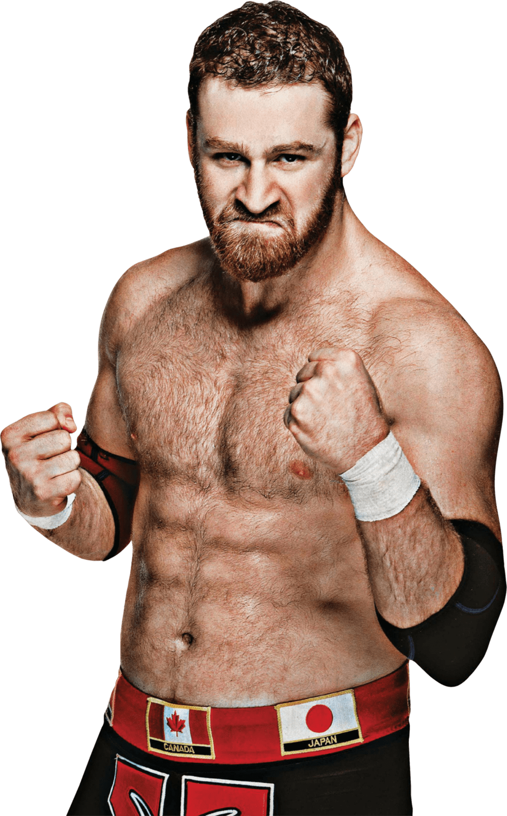 Download Wwe Wrestling - Wwe Sami Zayn Png - Full Size PNG Image - PNGkit
