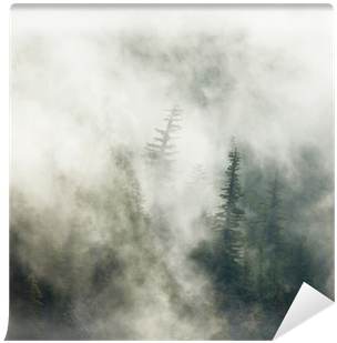Download Mural - Full Size PNG Image - PNGkit