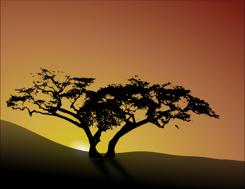Download Tree Shadow - Shadow Drawing Of Tree - Full Size PNG Image ...
