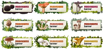 Download Set Of Delicious Mushroom Vector Banners - Mushroom - Full ...