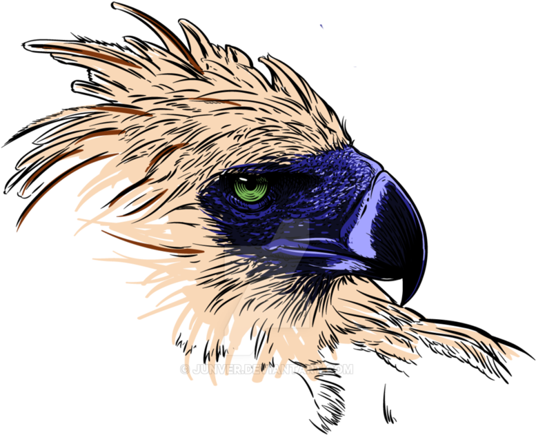 Download Philippine Eagle - Philippine Eagle Logo Png - Full Size PNG ...