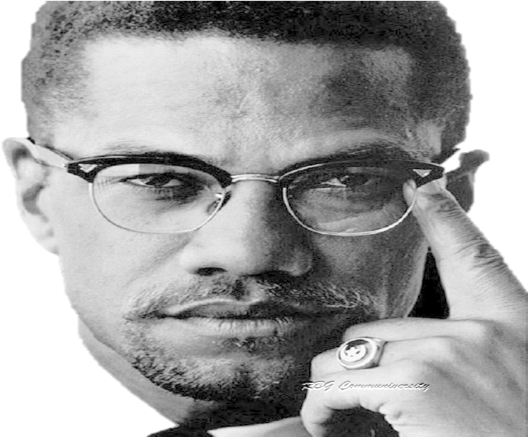 Download You Can't Hate The Roots Of A Tree, Malcolm X - Malibu Pier ...