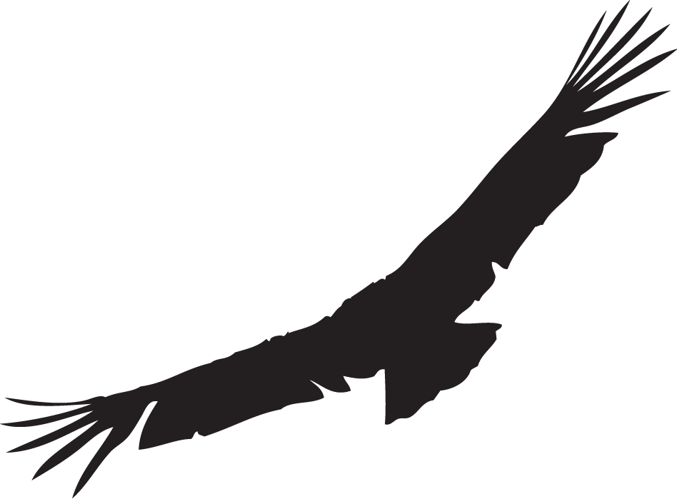 Download We Love The California Condor Just Another Wordpress - Condor ...