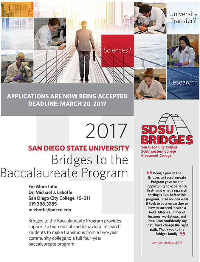 Download Sdsu / City College Bridges To The Baccalaureate Program ...