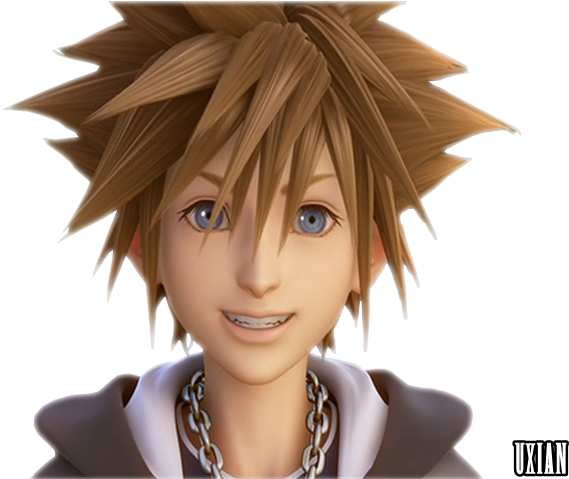 Download Sora Kingdom Hearts Hair - Full Size PNG Image - PNGkit
