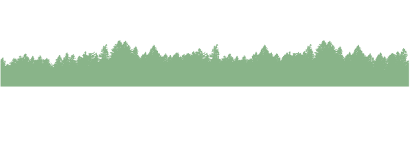 Download Small - Treeline With Transparent Background - Full Size PNG ...