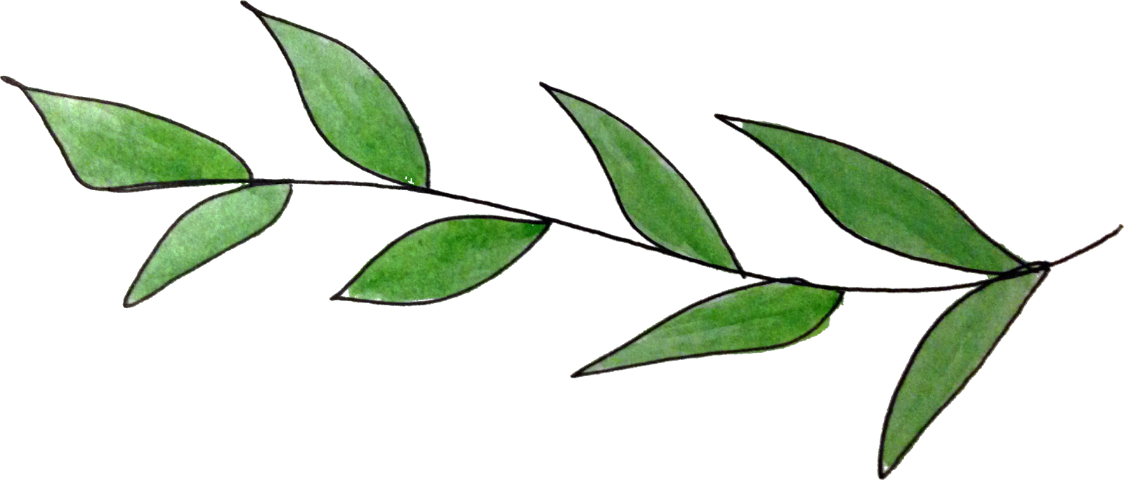 Download Some Of Them Are Really Small And Some Of Them Are - Provo ...