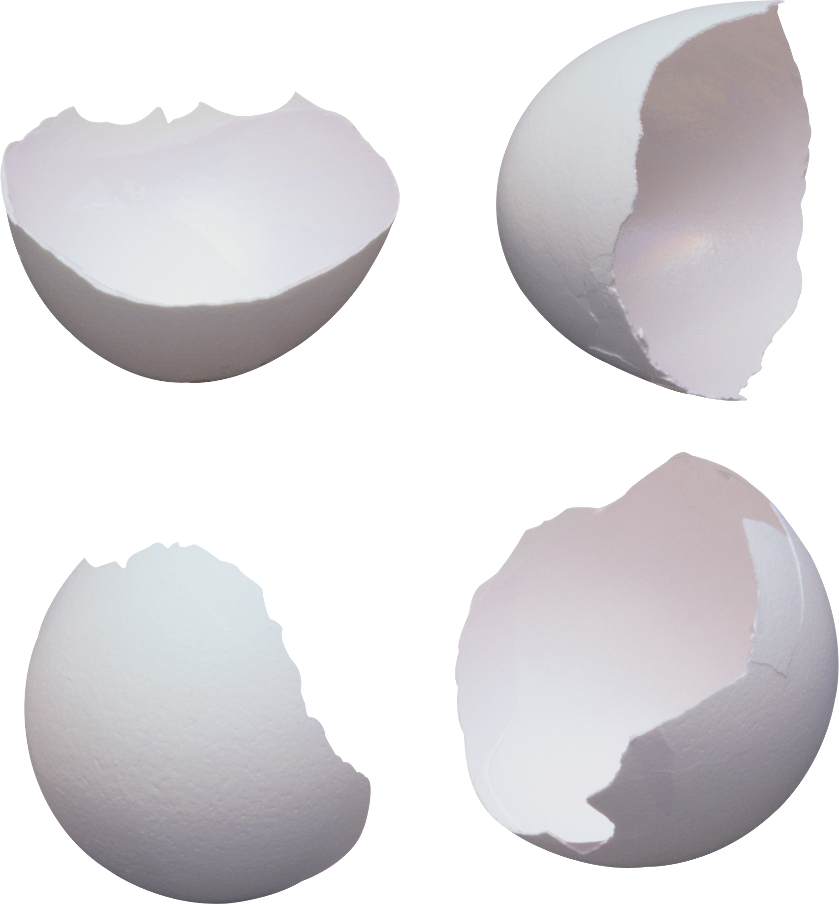 Download Download - Cracked Egg Shell Png - Full Size PNG Image - PNGkit