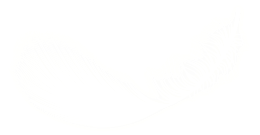 Download Plumas De Angel Png - Imagenes De Plumas De Angel - Full Size ...