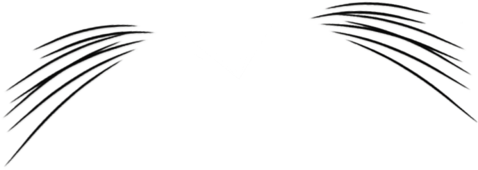 Download Transparent Black - White Cat Whiskers Png - PNGkit