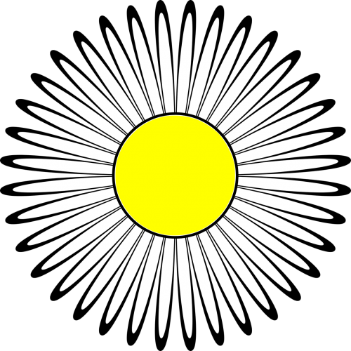 Download Petals,plant,flowers - Bangladesh Karigori Shikkha Board ...