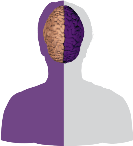 Download Left Brain/right Brain - Illustration - Full Size PNG Image ...