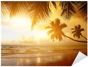 Download Go To Image - Overwatch Ow New Game Poster Print D.va 24x18 ...