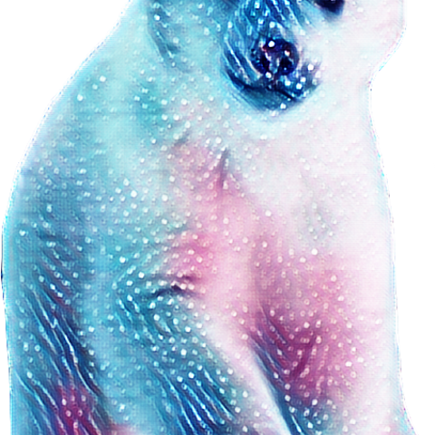 Download Picsart Photo Studio - Full Size PNG Image - PNGkit