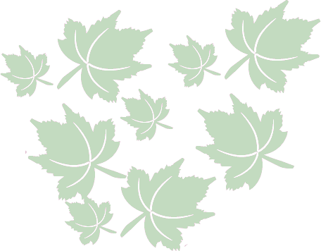 Download Transparent Spring-background - Maple Leaf - PNGkit