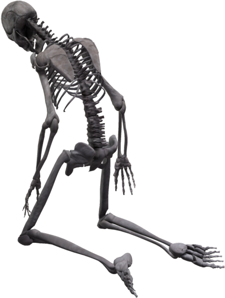 Download Transparent People Skeleton Pngimg004 Load20180523 Transparent ...