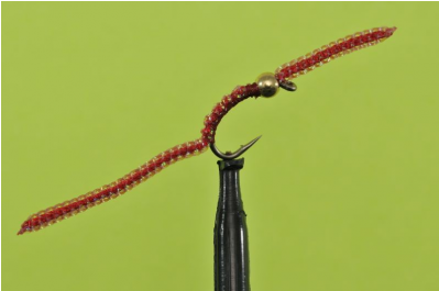 Download Transparent Red Sparkle Worm - Macro Photography - PNGkit