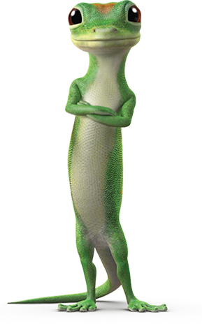 Download Transparent Gecko Lizard Geico - Auto Insurance Landing Pages ...