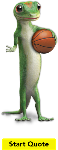 Download Geico - Full Size PNG Image - PNGkit