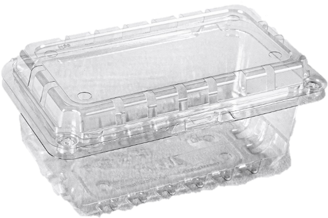 Download Clamshell 500 Gr H85 - Clamshell - Full Size PNG Image - PNGkit