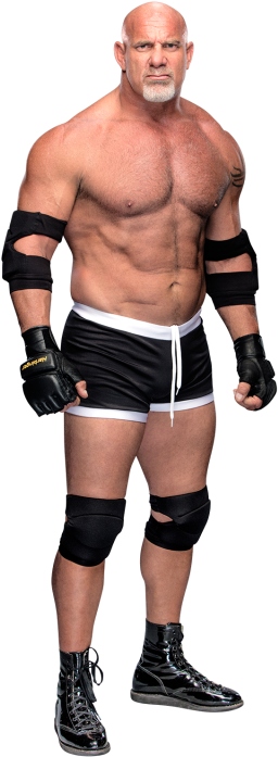 Download Goldberg Stat - Goldberg Wwe - Full Size PNG Image - PNGkit