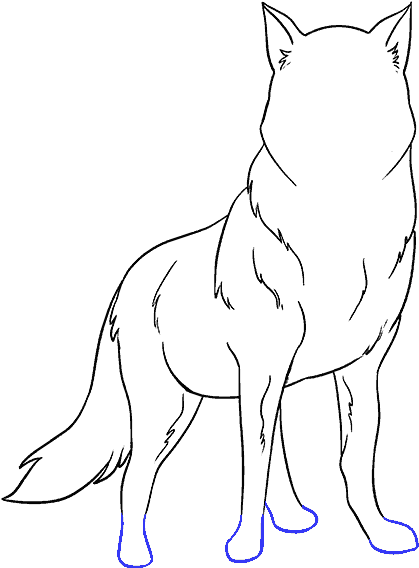 Download How To Draw Wolf - Drawing - Full Size PNG Image - PNGkit