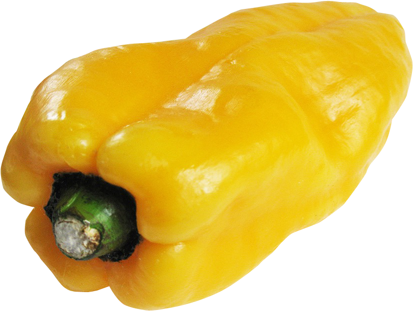 Download Transparent Bell Pepper Yellow Png Image - Yellow Pepper - PNGkit
