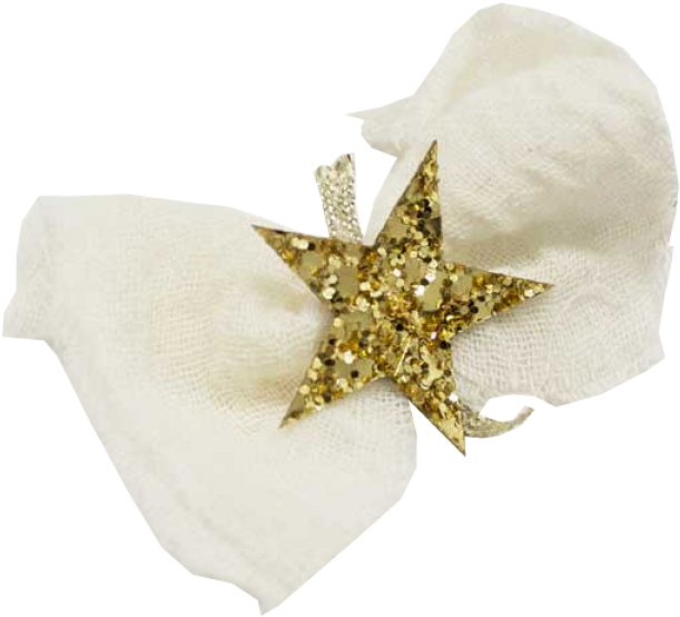Download Atsuyo Et Akiko Glitter Star Hair Pin - Akiko Glitter - Full ...