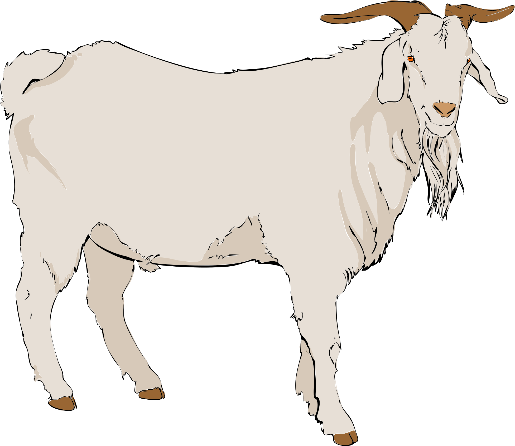 Goat Vector Png