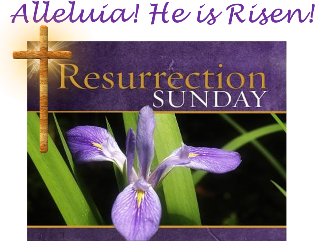 Download “he Is Not Here - Gorgeous Hair Is The Best Revenge 2.25 ...