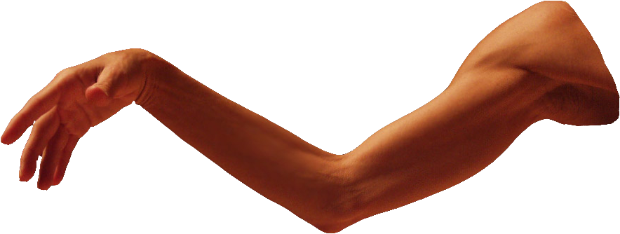 Download Index Of Workshop Mediaartcamp - Arm Png - Full Size PNG Image ...