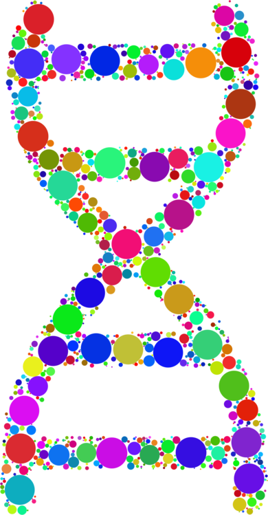 Download Nucleic Acid Double Helix Dna Circle Line - Dna - Full Size ...